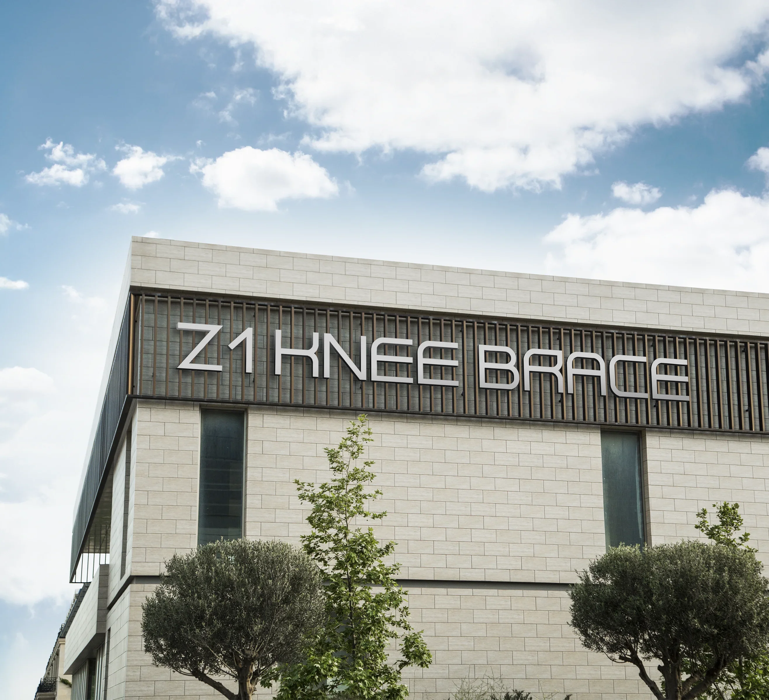 All Products | Z1 Braces – Premium Knee & Ankle Support Solutions ...